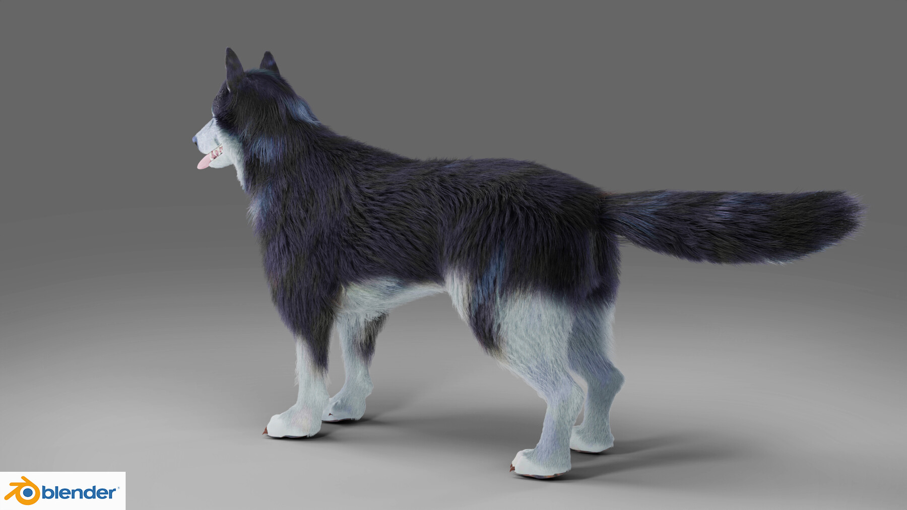 ArtStation - Fur Gray Wolf Rigged and Animated in Blender | Game Assets