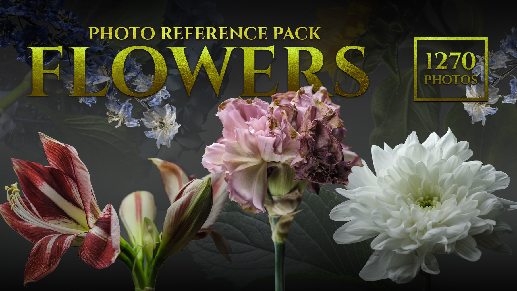 ArtStation - (A) Flowers - Reference Photo Pack For Artists 1270 JPEGs ...