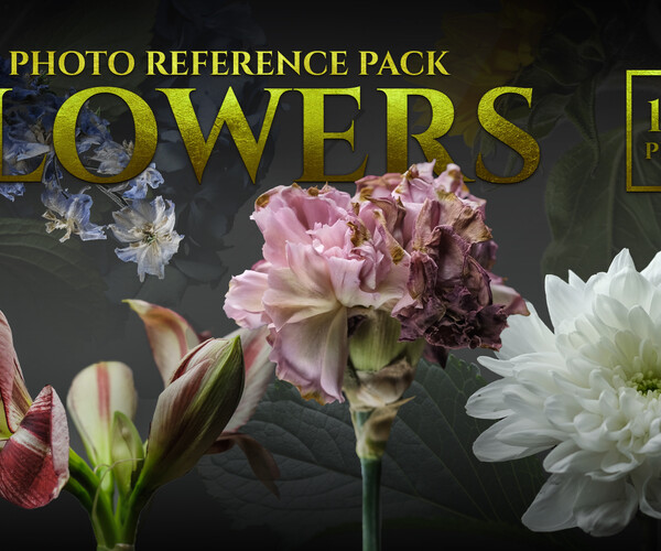 ArtStation - (A) Flowers - Reference Photo Pack For Artists 1270 JPEGs ...