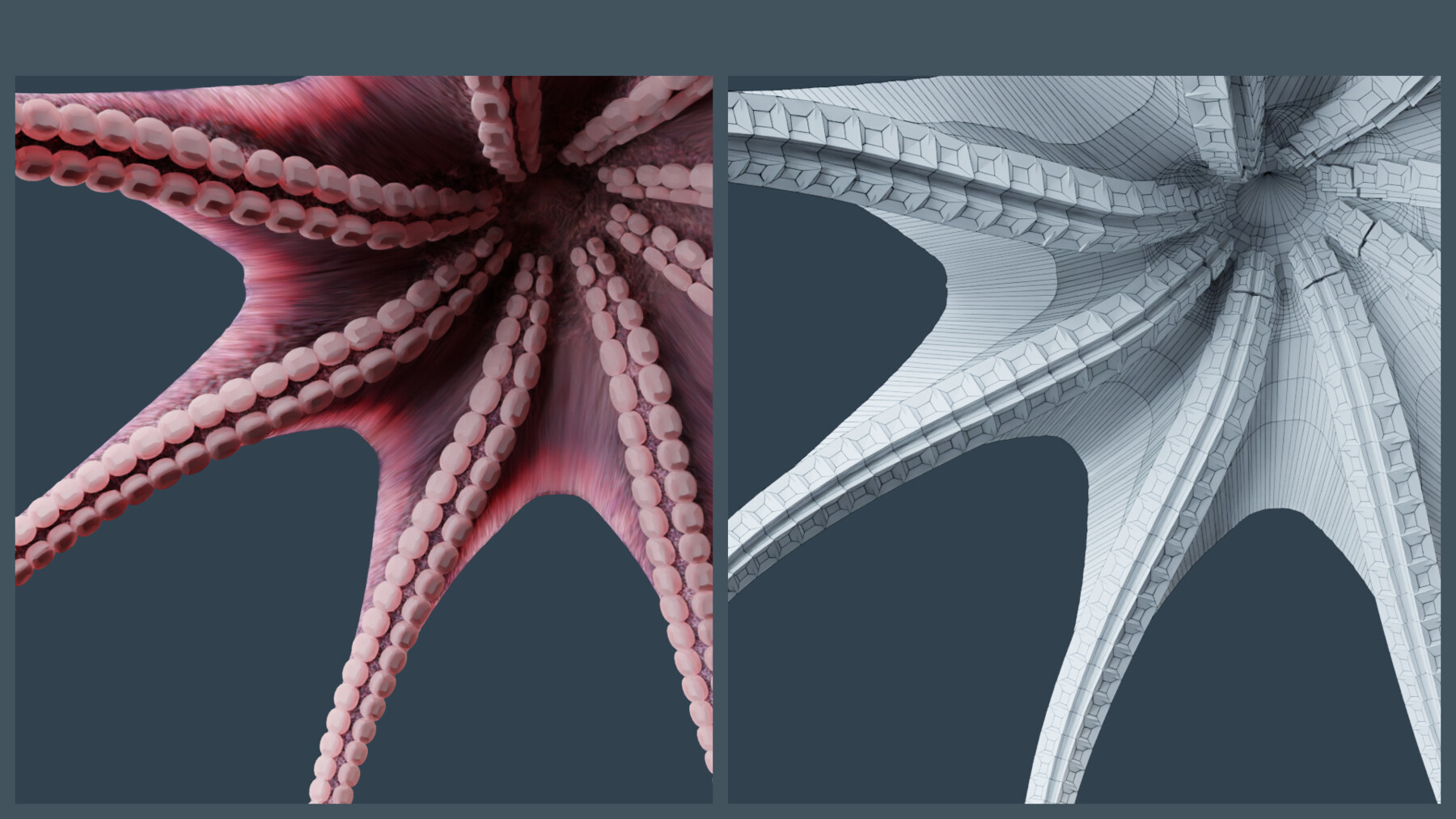 ArtStation - Animated Octopus- Common Octopus | Game Assets