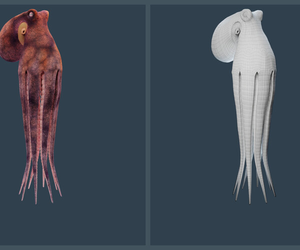 ArtStation - Animated Octopus- Common Octopus | Game Assets