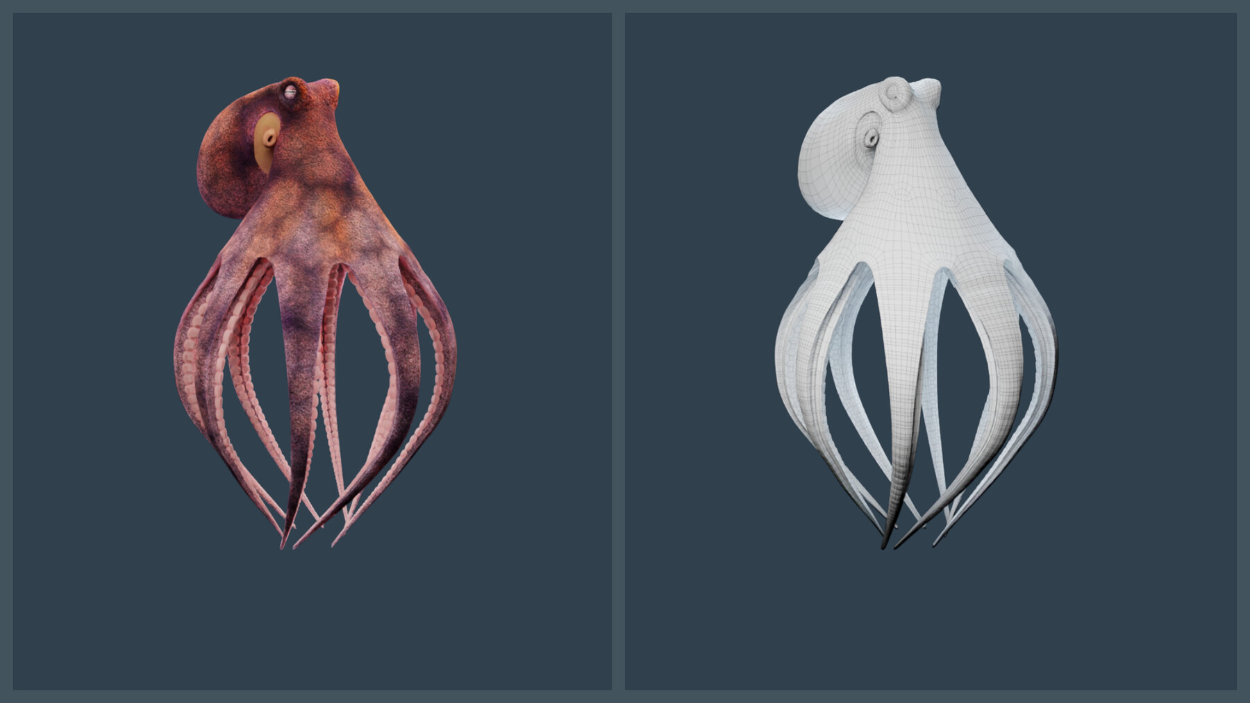 ArtStation - Animated Octopus- Common Octopus | Game Assets