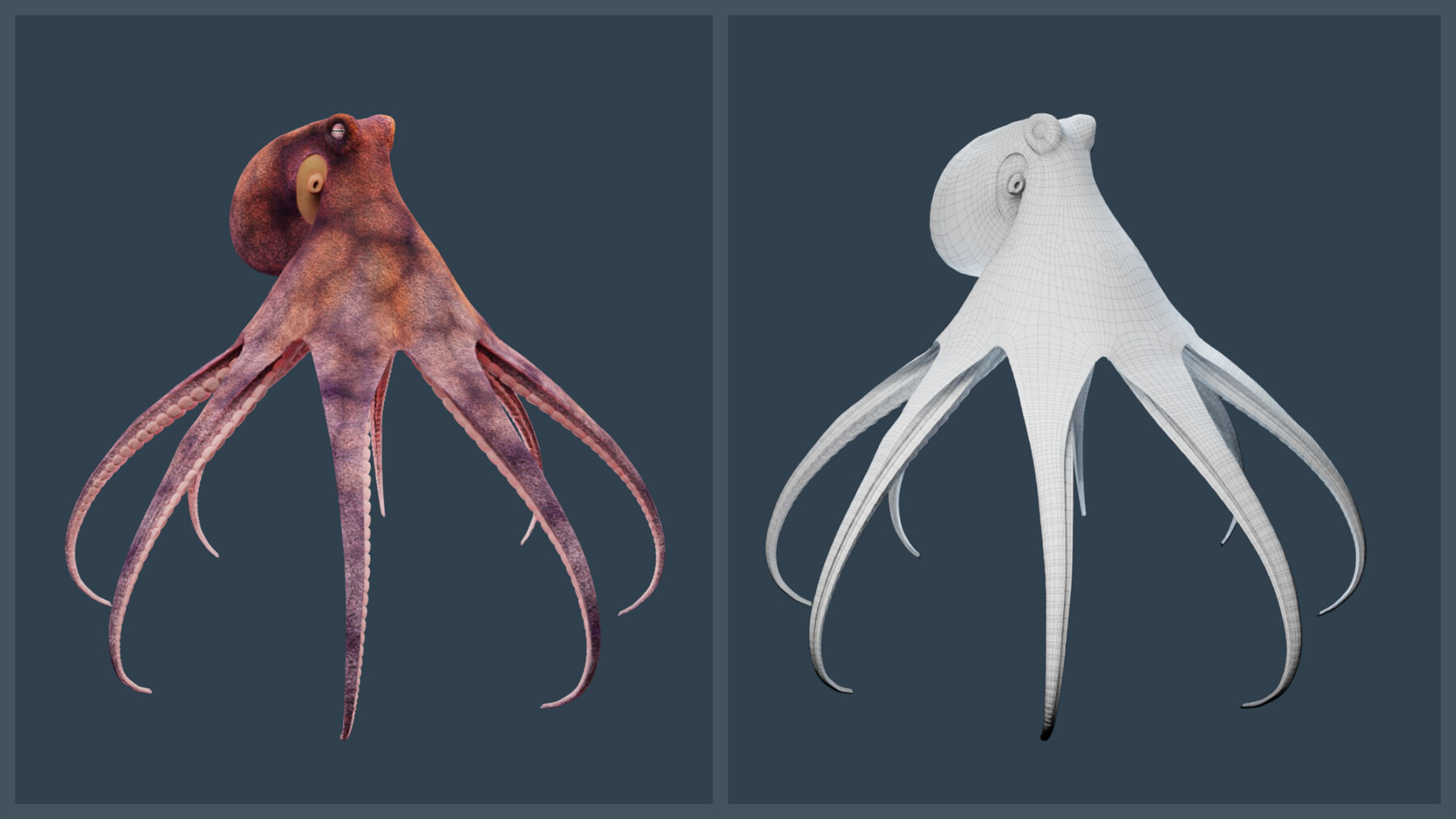 ArtStation - Animated Octopus- Common Octopus | Game Assets