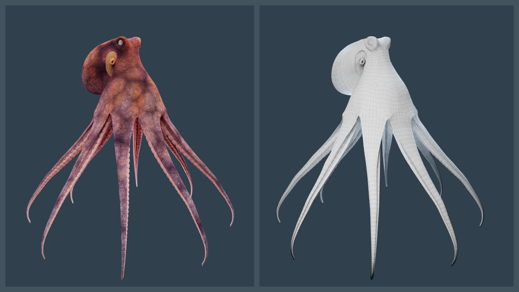 ArtStation - Animated Octopus- Common Octopus | Game Assets