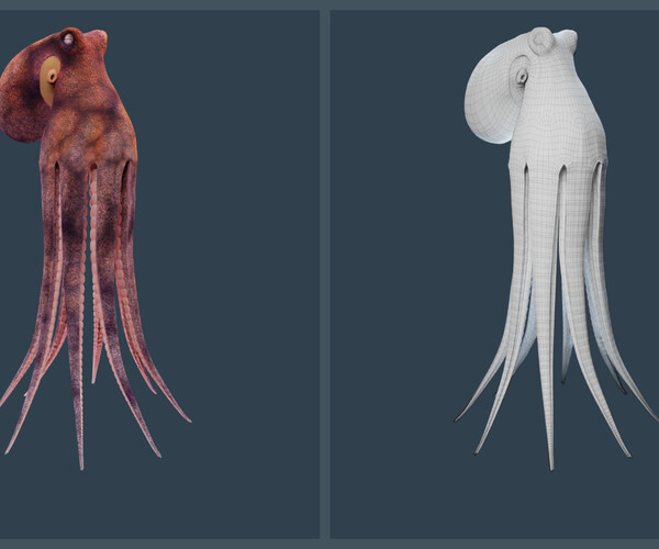 ArtStation - Animated Octopus- Common Octopus | Game Assets