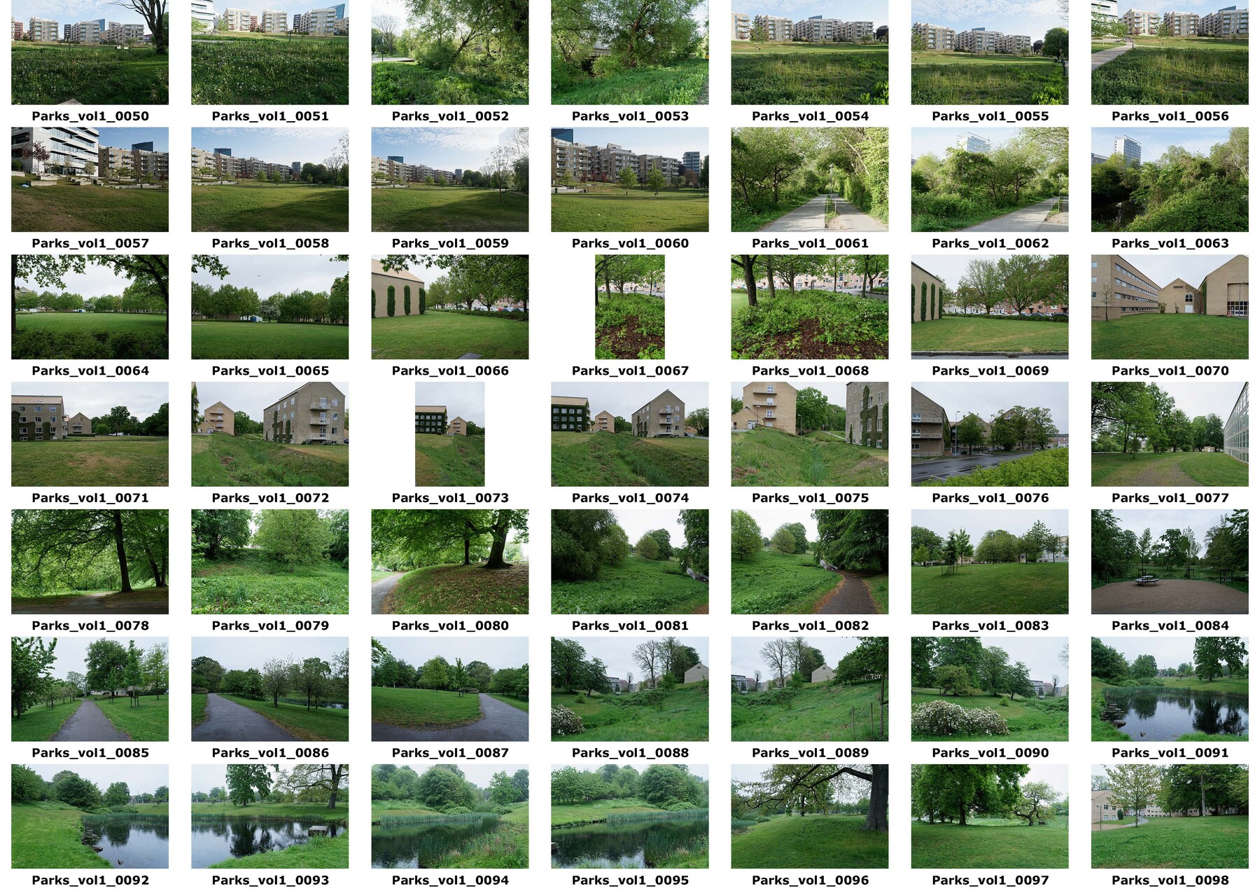 ArtStation - PARKS VOL 1 / Photo Reference / 401 images | Resources