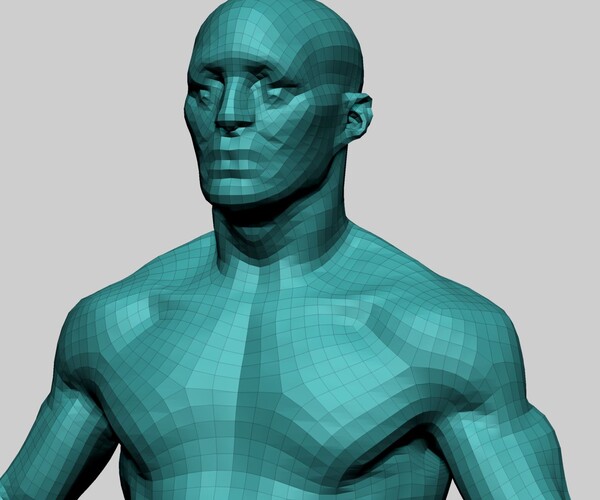 ArtStation - Male Anatomy | Resources