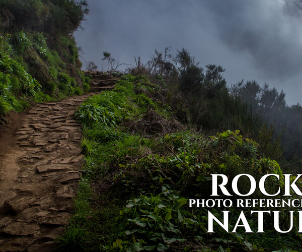 ArtStation - Rocky Mountains - Reference Photo Pack For Artists 649 ...