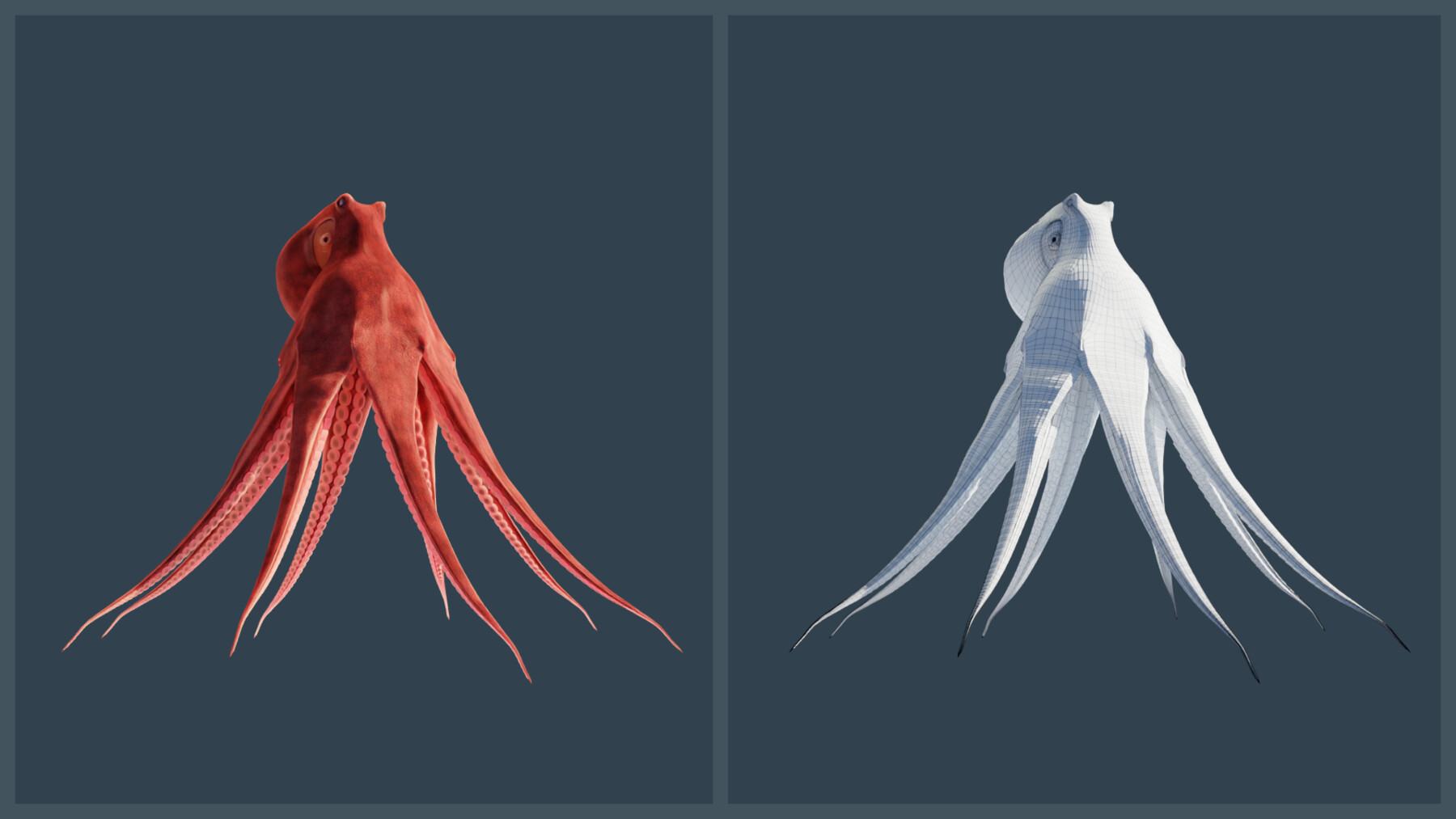 ArtStation - Animated Octopus- Giant Pacific | Game Assets