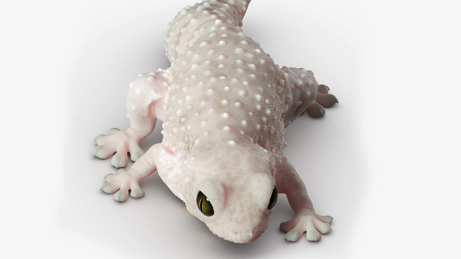 ArtStation - Gecko Reptile | Game Assets
