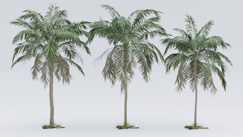 ArtStation - tree pack Blender 3.x | Resources