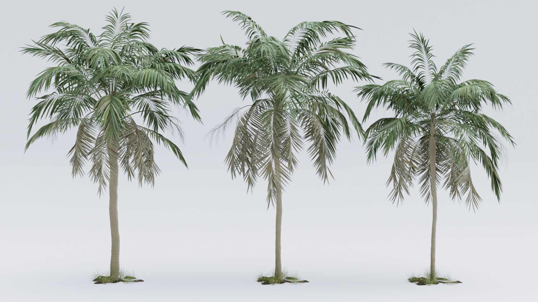 ArtStation - tree pack Blender 3.x | Resources