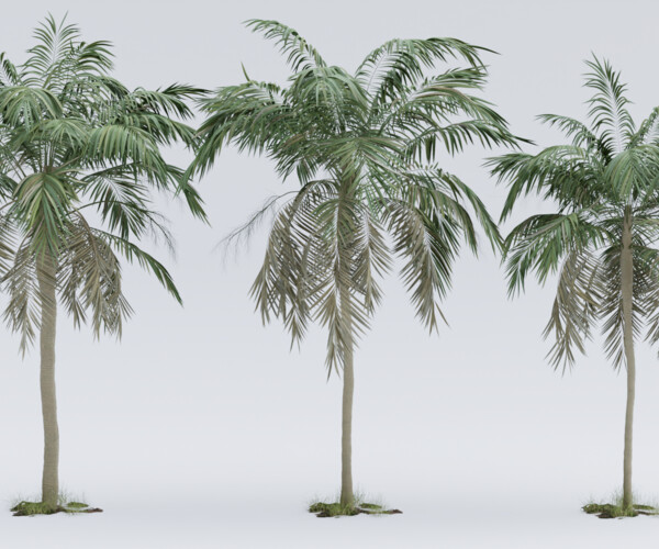 ArtStation - tree pack Blender 3.x | Resources