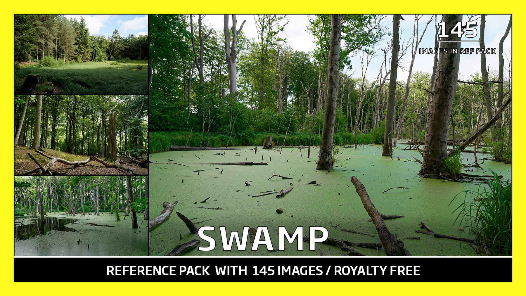 ArtStation - SWAMP / Photo Reference / 145 images | Resources