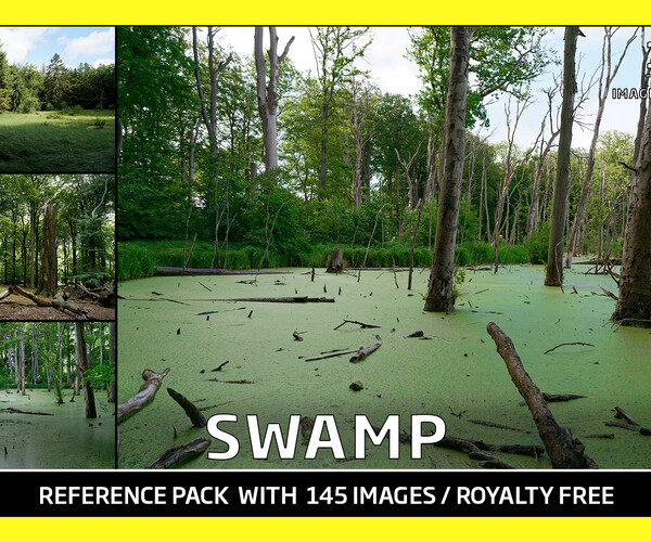 ArtStation - SWAMP / Photo Reference / 145 images | Resources