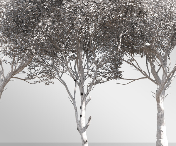 ArtStation - 6 Tree 3d models_Vol 01 | Resources