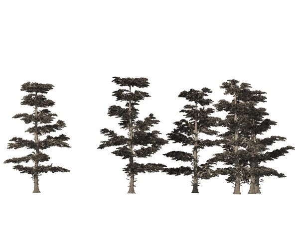 ArtStation - Winter Abies concolor trees | Resources