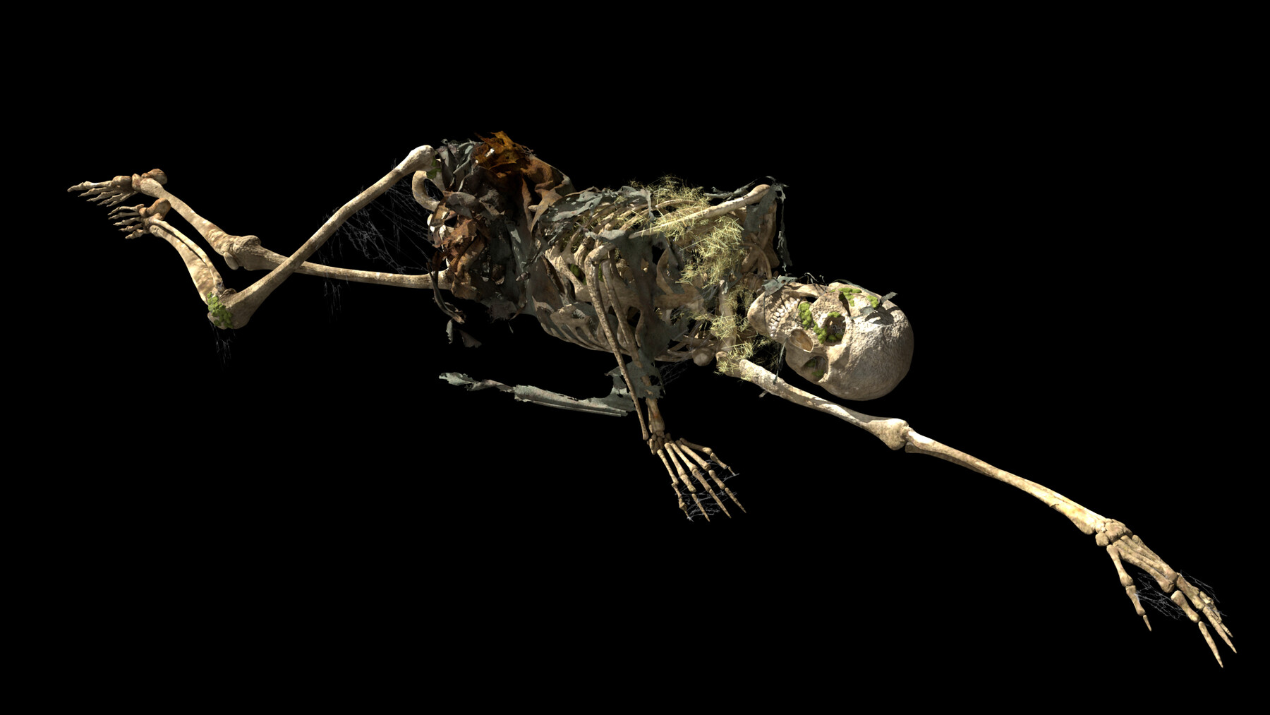 ArtStation - Skeleton_corroded | Resources