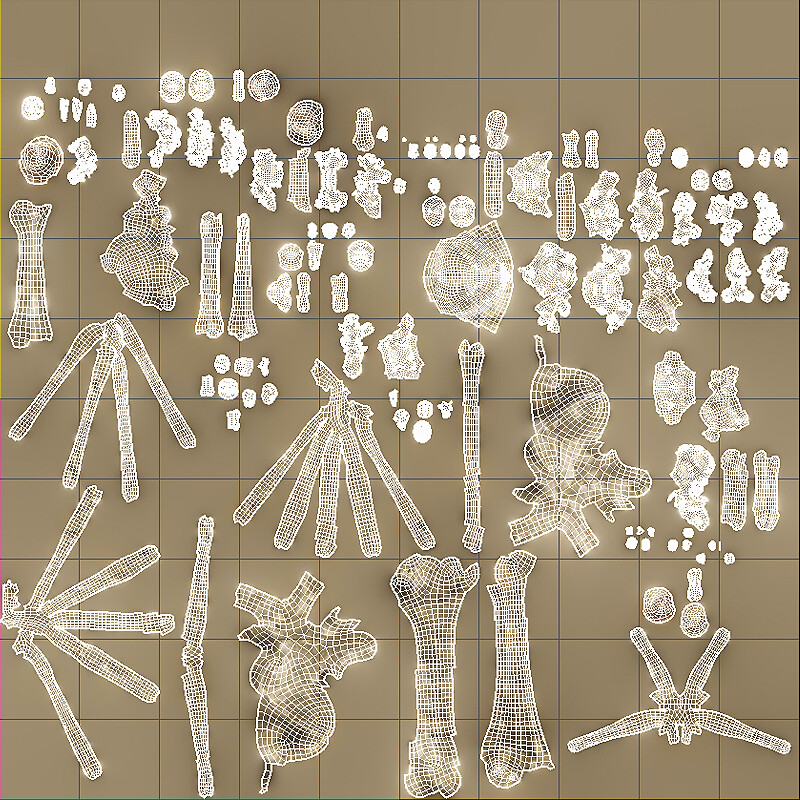 ArtStation - Skeleton_corroded | Resources