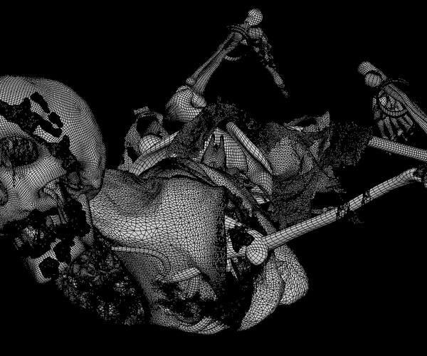 ArtStation - Skeleton_corroded | Resources