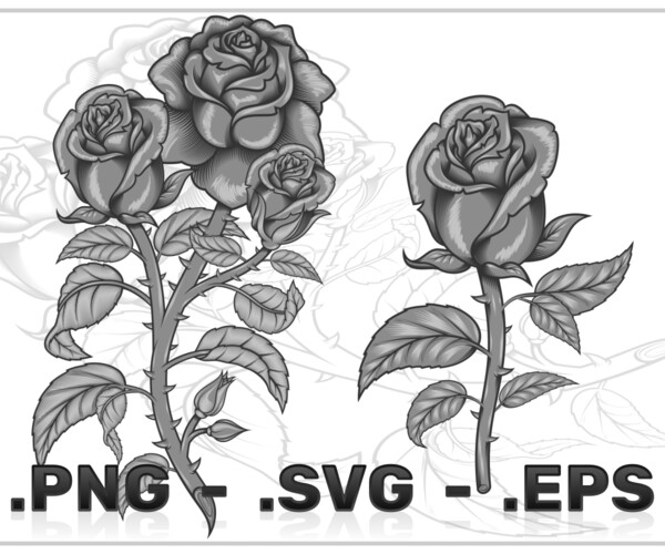 ArtStation - Vector design of a rose bouquet | Artworks