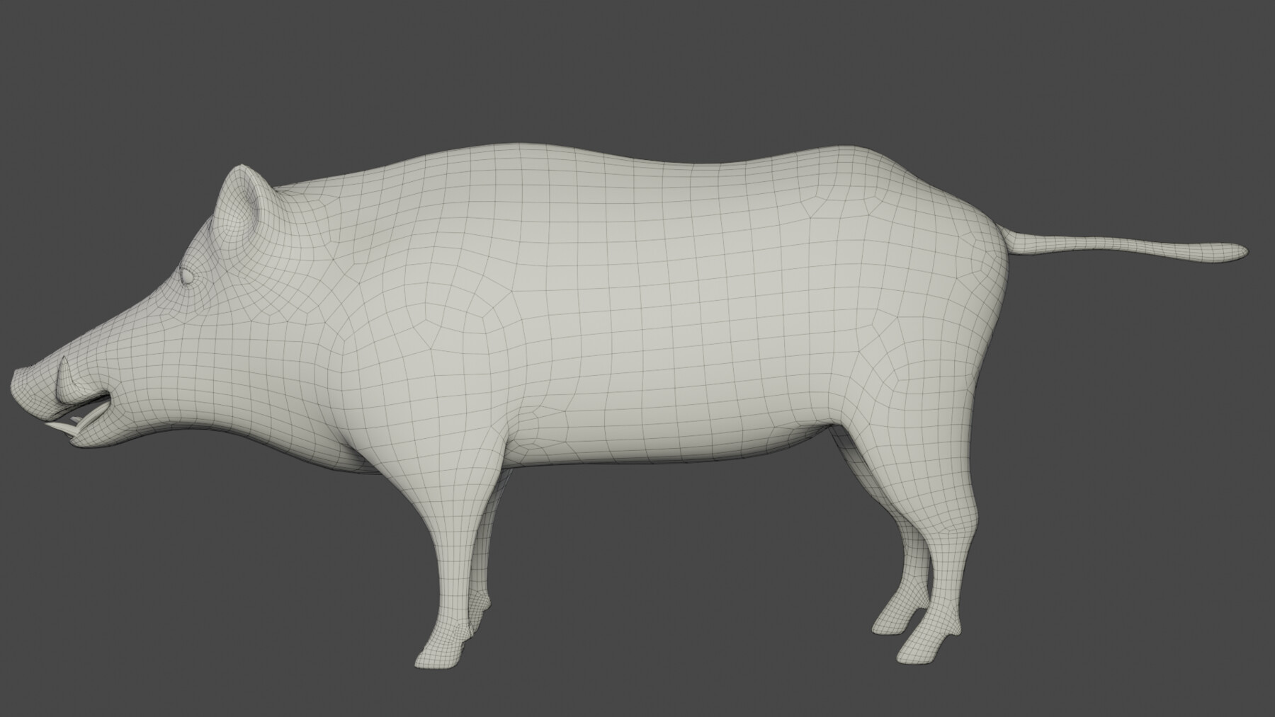 ArtStation - Fur Wild Boar Rigged and Animation in Blender | Game Assets