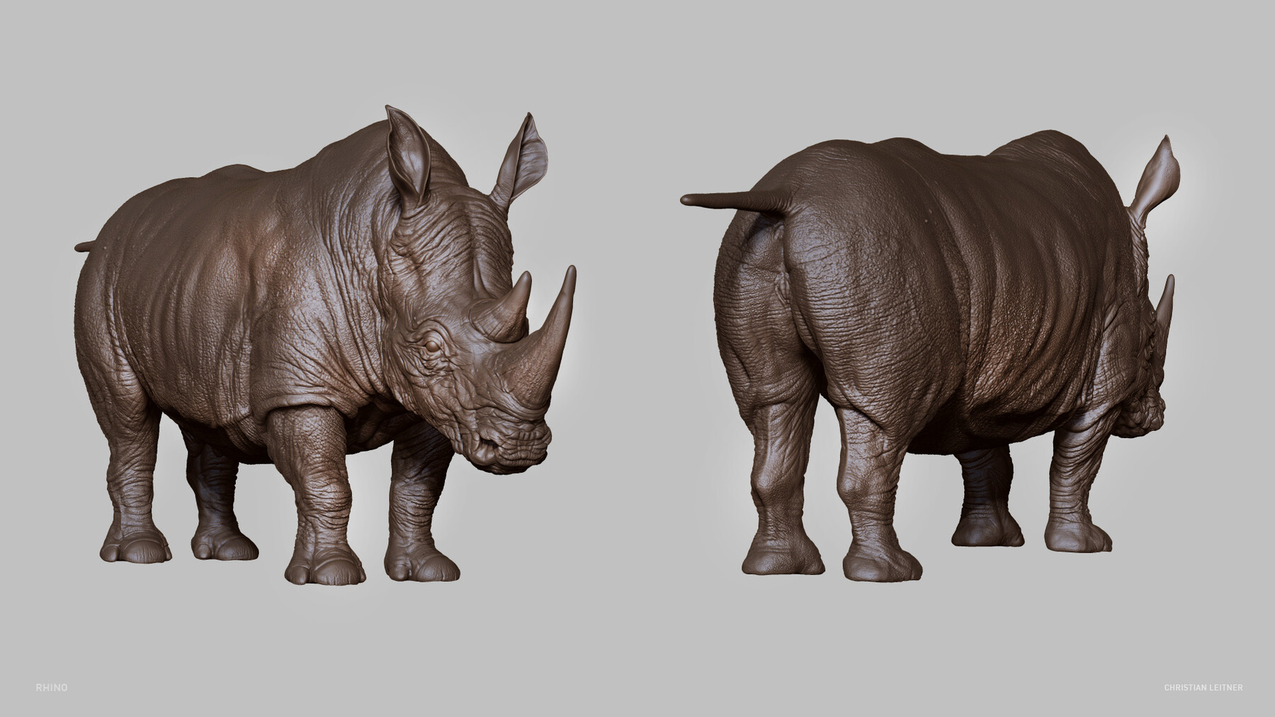 ArtStation - RHINO | Resources