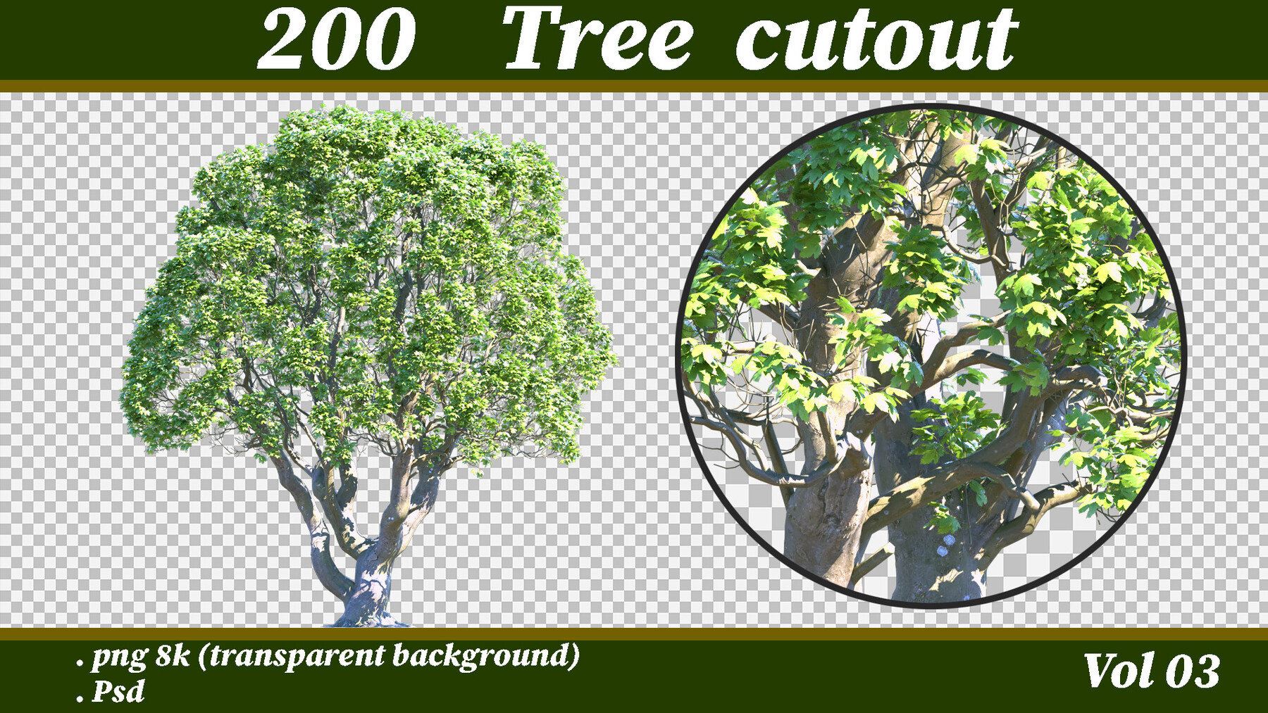 ArtStation - Tree cutout png 4k & psd (Alder, Maple, Weeping willow ...