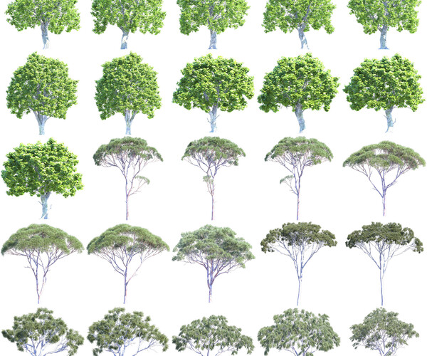 ArtStation - Tree cutout png 4k & psd (Alder, Maple, Weeping willow ...