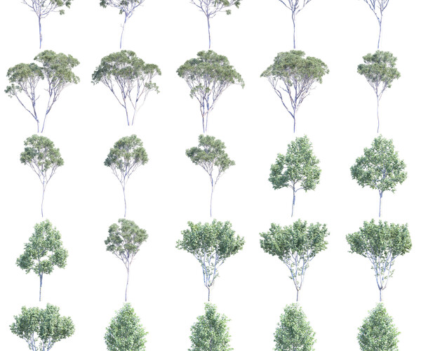 ArtStation - Tree cutout png 4k & psd (Alder, Maple, Weeping willow ...