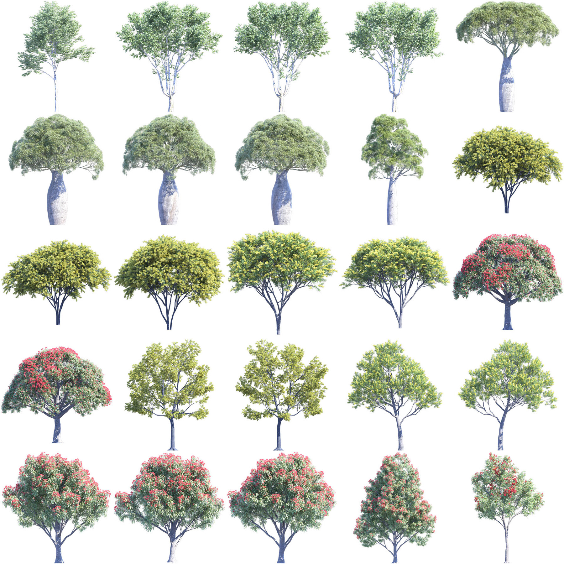 ArtStation - Tree cutout png 4k & psd (Alder, Maple, Weeping willow ...
