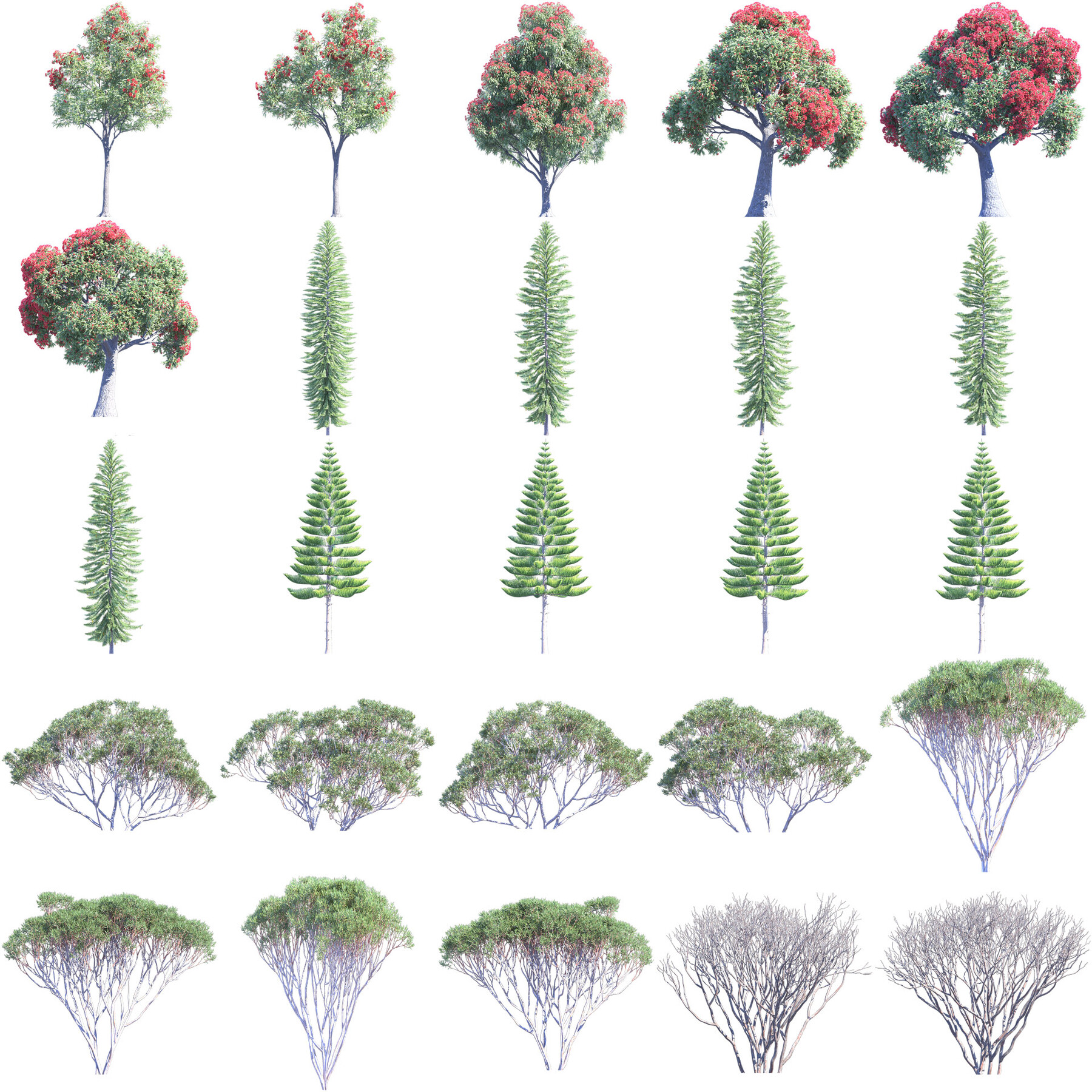 ArtStation - Tree cutout png 4k & psd (Alder, Maple, Weeping willow ...
