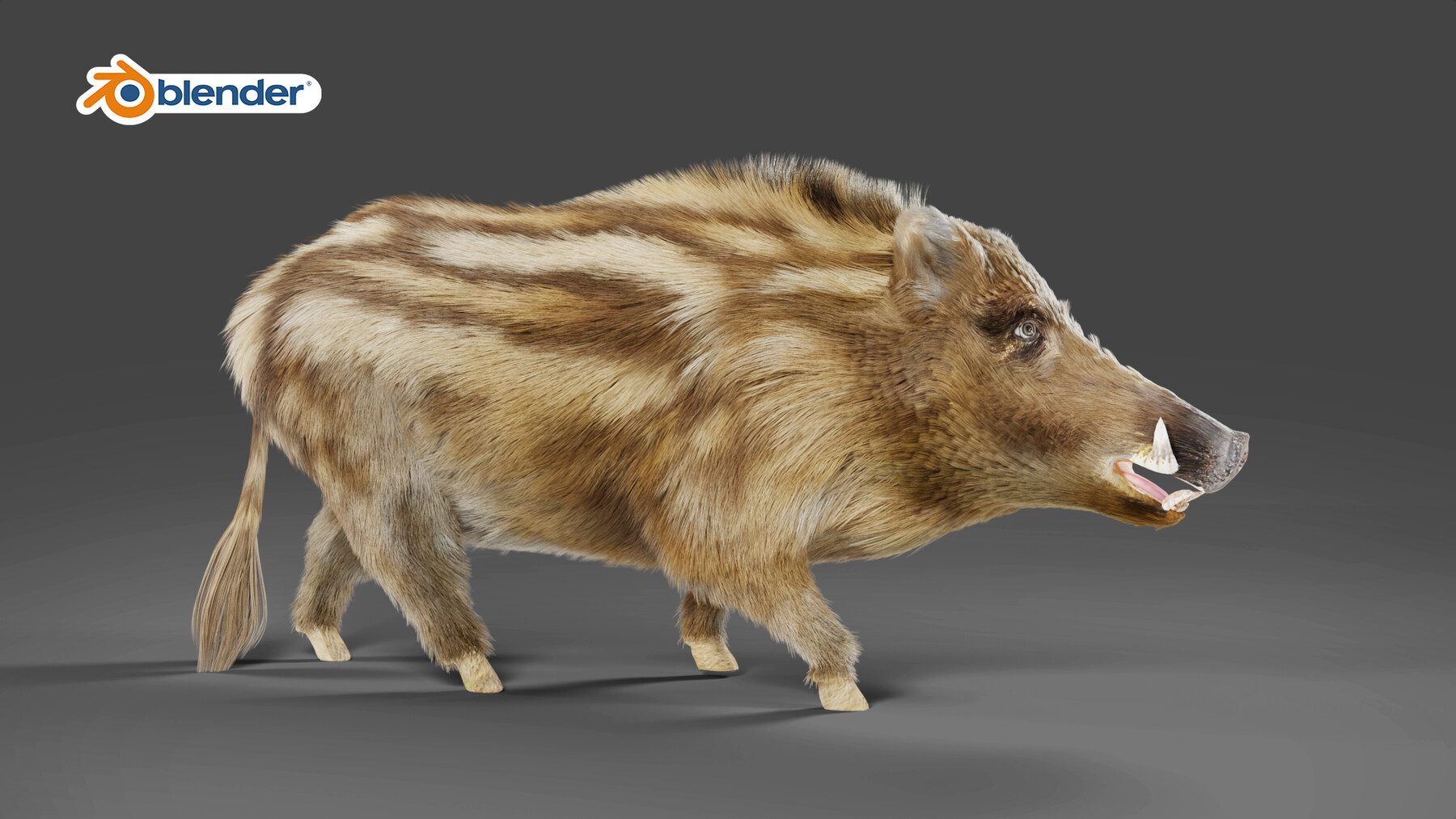 ArtStation - Fur Wild Boar Rigged and Animation V03 | Game Assets