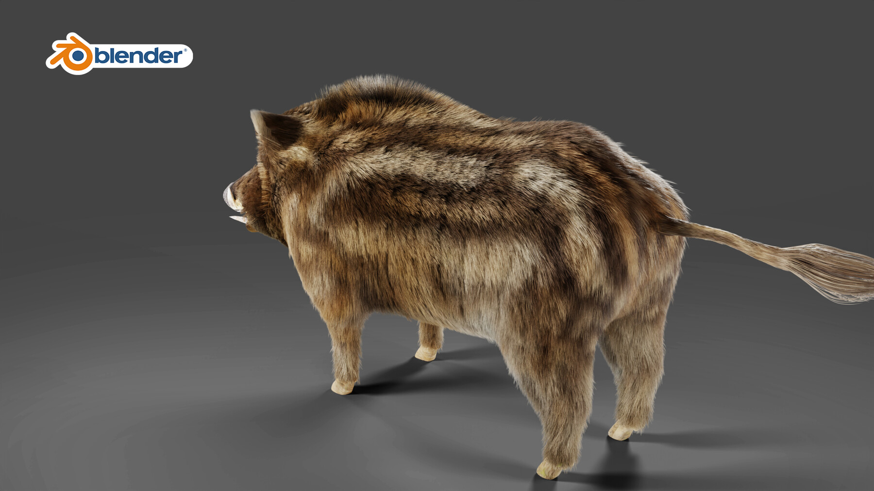 ArtStation - Fur Wild Boar Rigged and Animation V03 | Game Assets