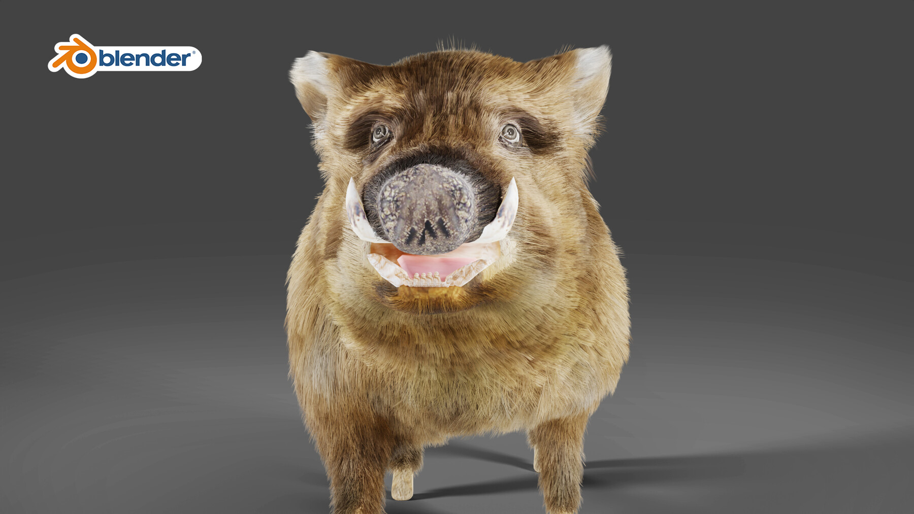 ArtStation - Fur Wild Boar Rigged and Animation V03 | Game Assets