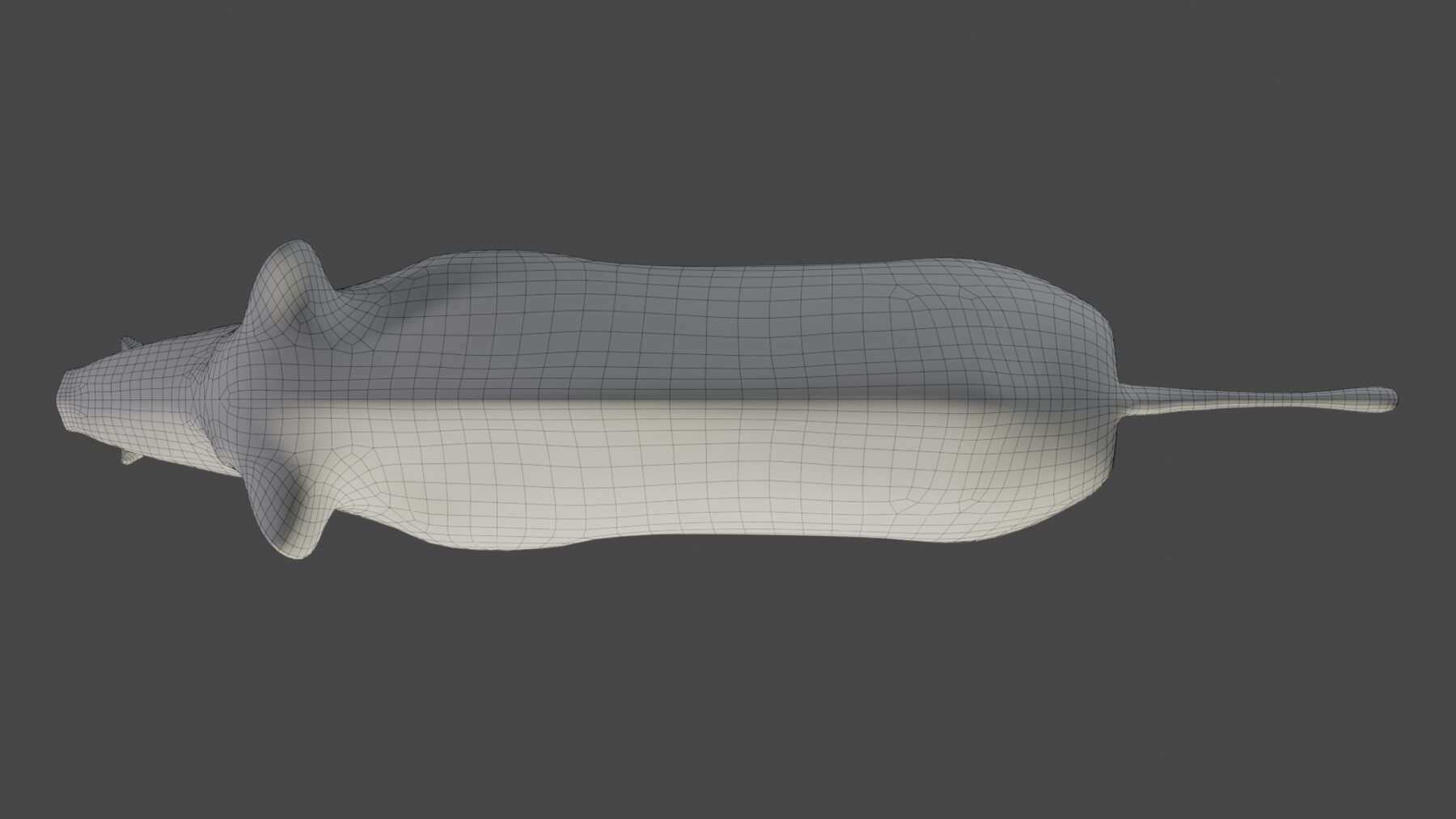 ArtStation - Fur Wild Boar V04 Rigged and Animation | Game Assets