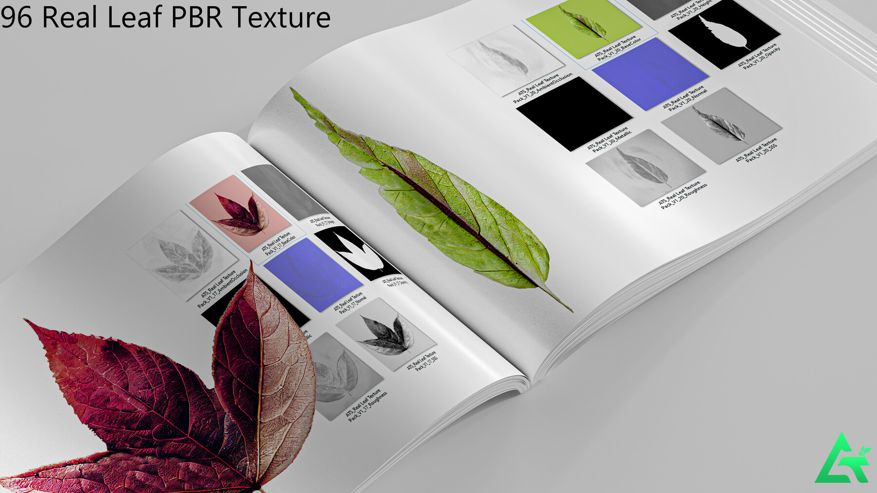 ArtStation - 96 Real Leaf Pack - PBR Texture - 4k - with Alpha Map | Resources