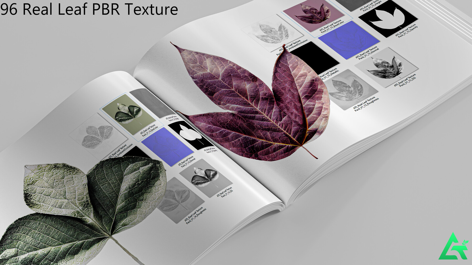 ArtStation - 96 Real Leaf Pack - PBR Texture - 4k - with Alpha Map ...
