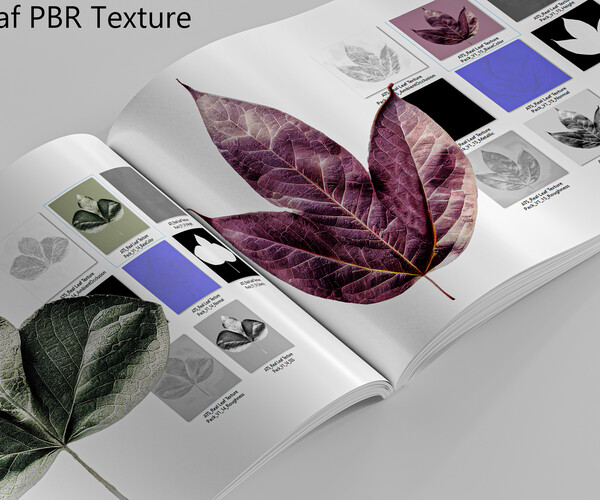 ArtStation - 96 Real Leaf Pack - PBR Texture - 4k - with Alpha Map ...