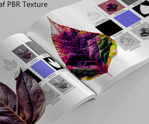 ArtStation - 96 Real Leaf Pack - PBR Texture - 4k - with Alpha Map ...