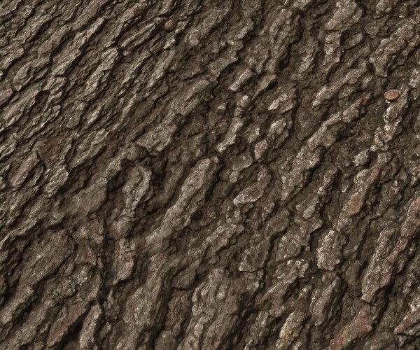 ArtStation - Sweetgum Tree Bark Vol.2 | Resources