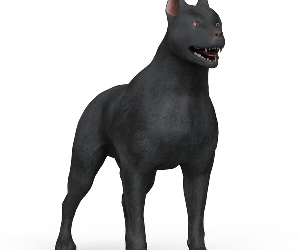 ArtStation - Black Dog | Resources