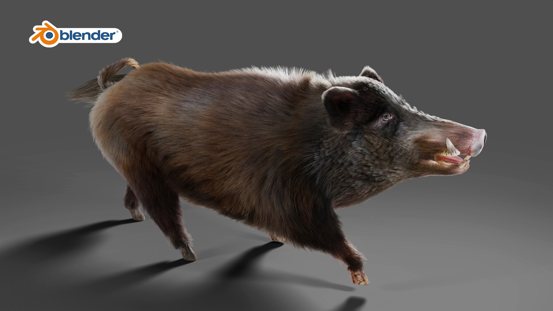 ArtStation - Fur Wild Boar V06 Rigged and Animation | Game Assets
