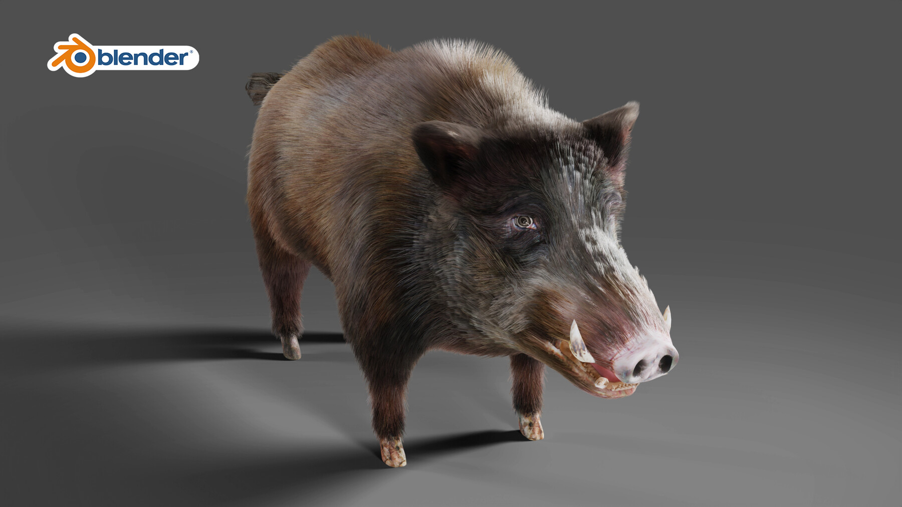 ArtStation - Fur Wild Boar V06 Rigged and Animation | Game Assets
