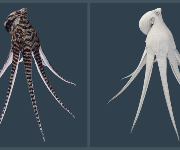 ArtStation - Animated Octopus- Mimic | Game Assets