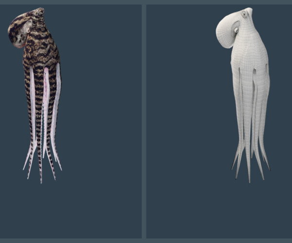ArtStation - Animated Octopus- Mimic | Game Assets