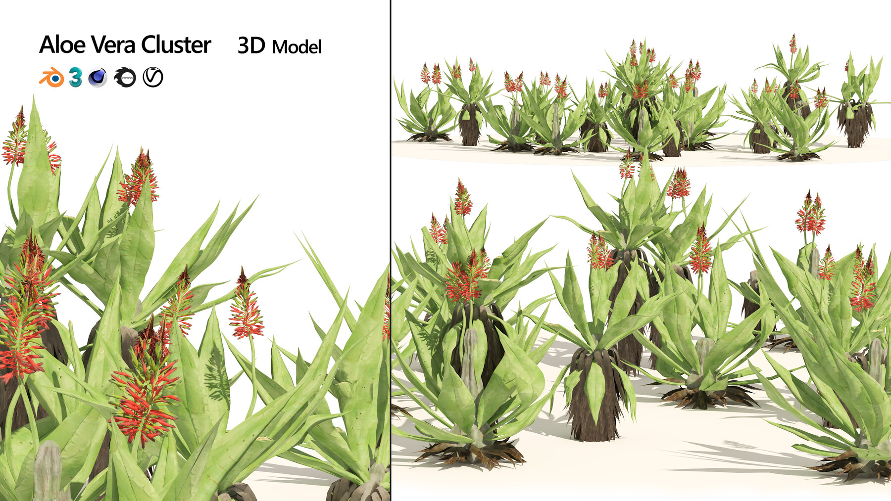 ArtStation - Aloe Vera Cluster | Game Assets
