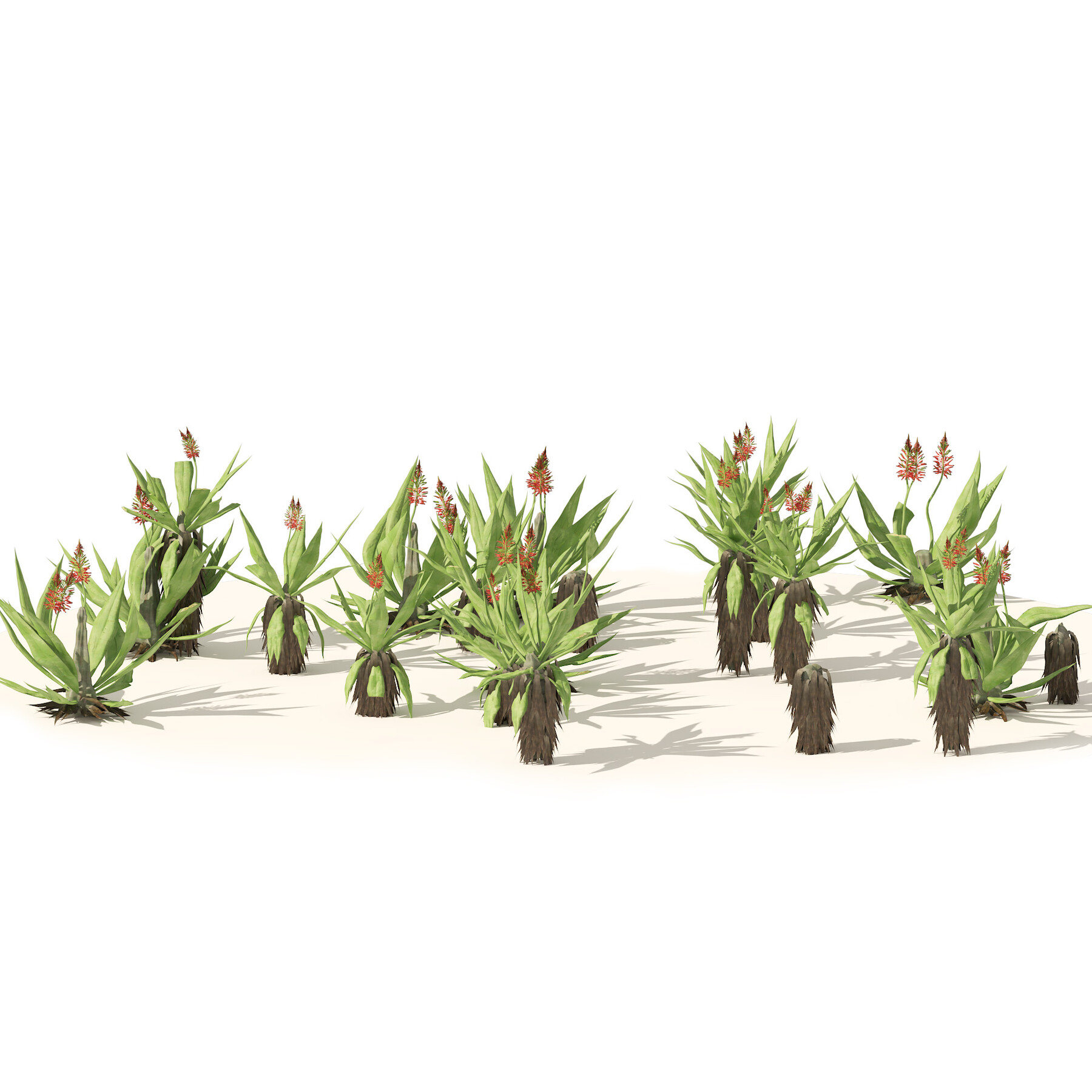 ArtStation - Aloe Vera flowers cluster | Resources