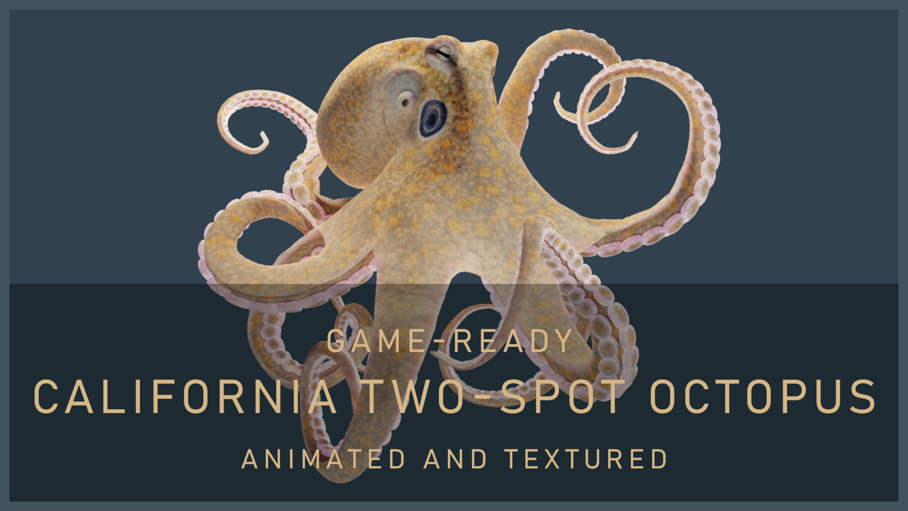 ArtStation - Animated Octopus- California Two-Spot | Game Assets