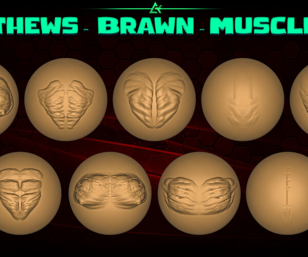 ArtStation - 45 Stylized Muscles VDM Brush | Brushes
